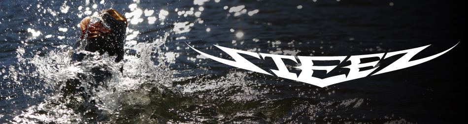 スティーズ SV TW インプレ 【要注意点アリ】最も活きる使い方は | ベイトリール大百科 https://bait-reel.com