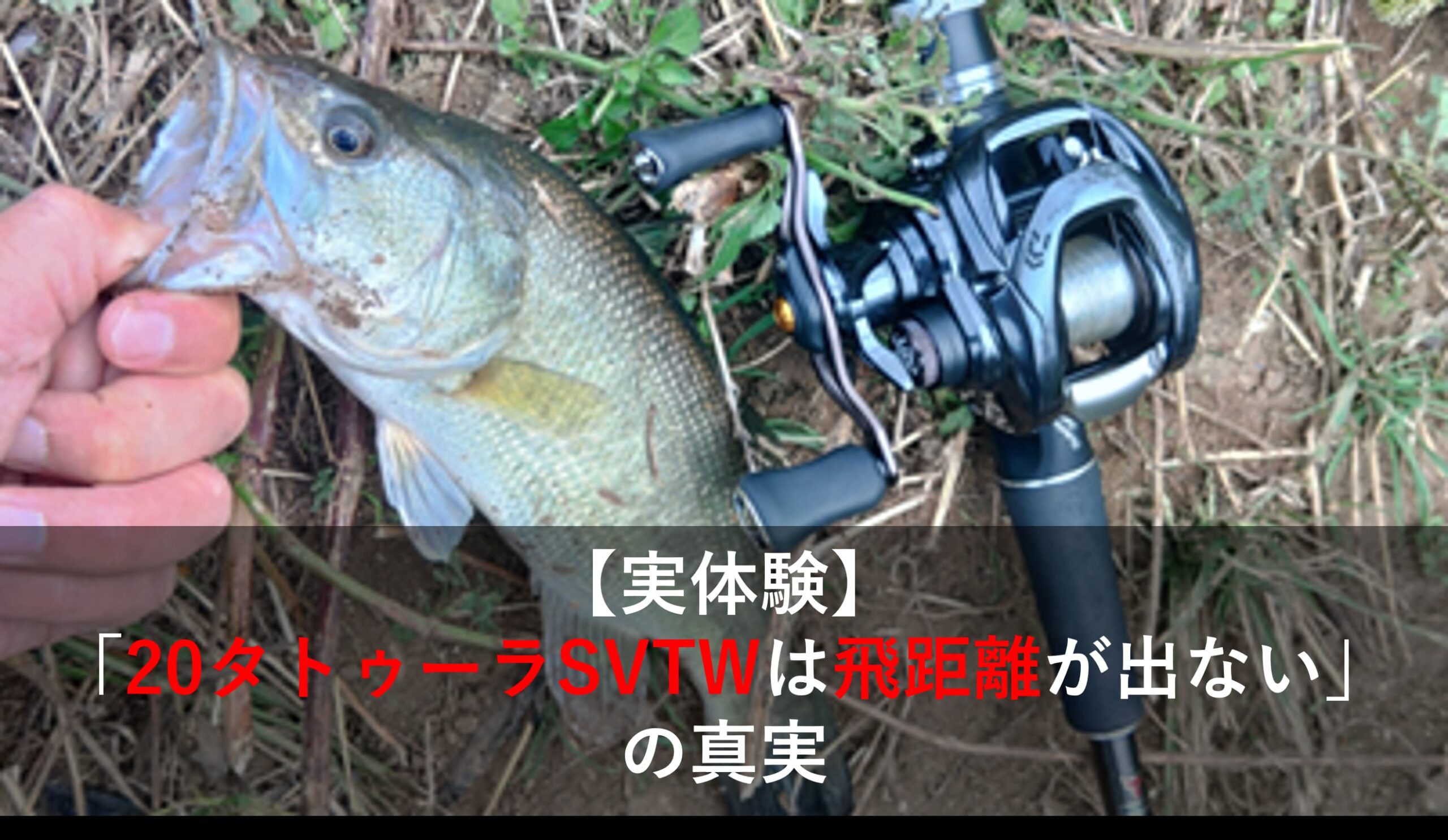 【実体験】「20タトゥーラSVTWは飛距離が出ない」の真実 | ベイトリール大百科 https://bait-reel.com