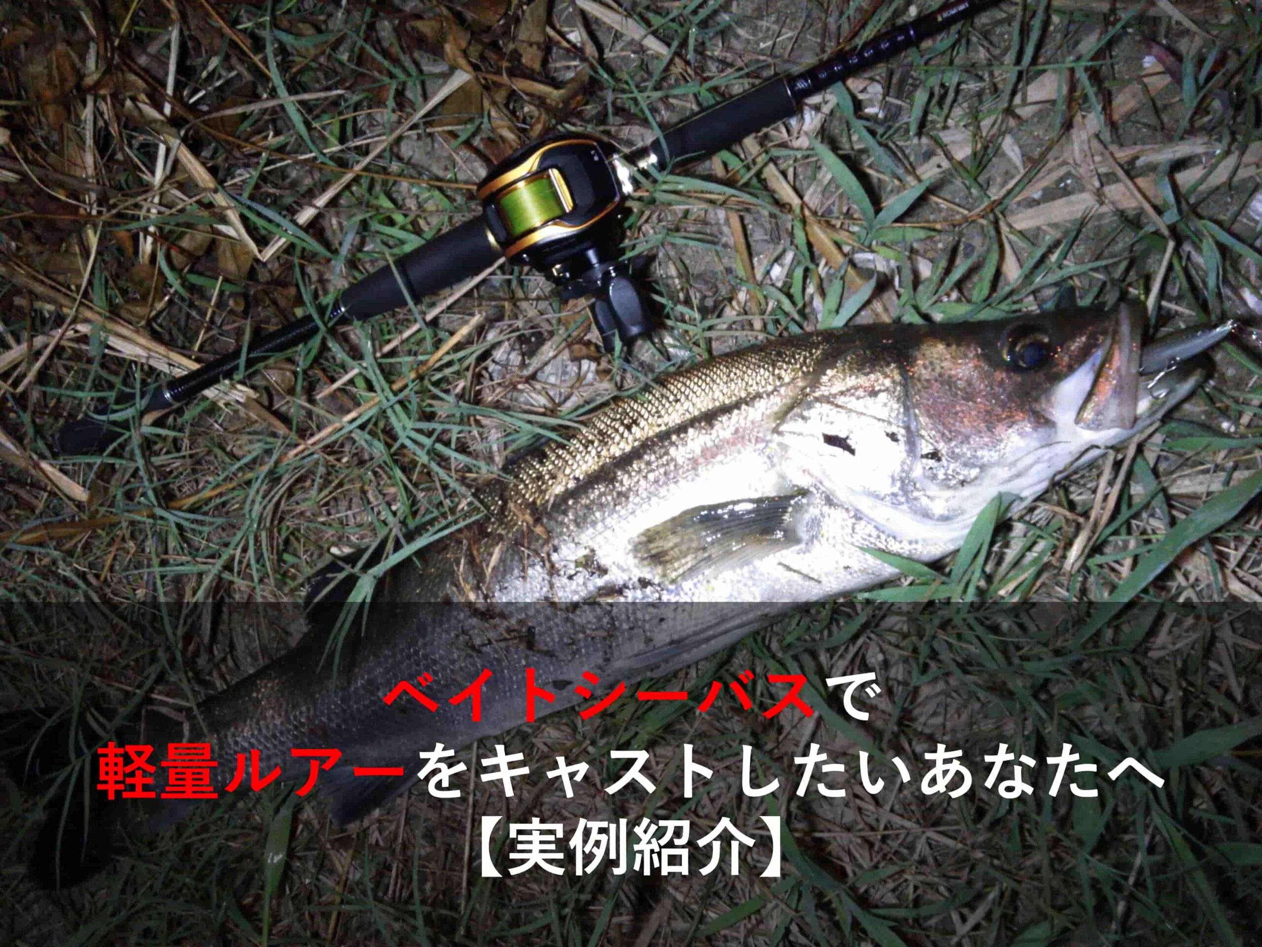ベイトシーバスで軽量ルアーをキャストしたいあなたへ【実例紹介】 | ベイトリール大百科 https://bait-reel.com