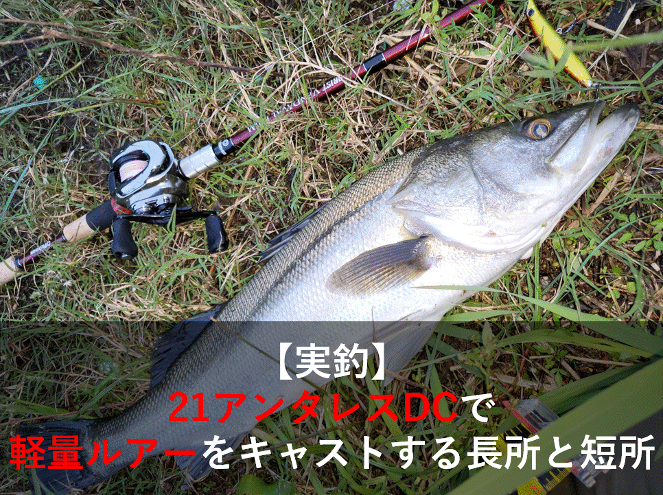 【実釣】21アンタレスDCで軽量ルアーをキャストする長所と短所 | ベイトリール大百科 https://bait-reel.com