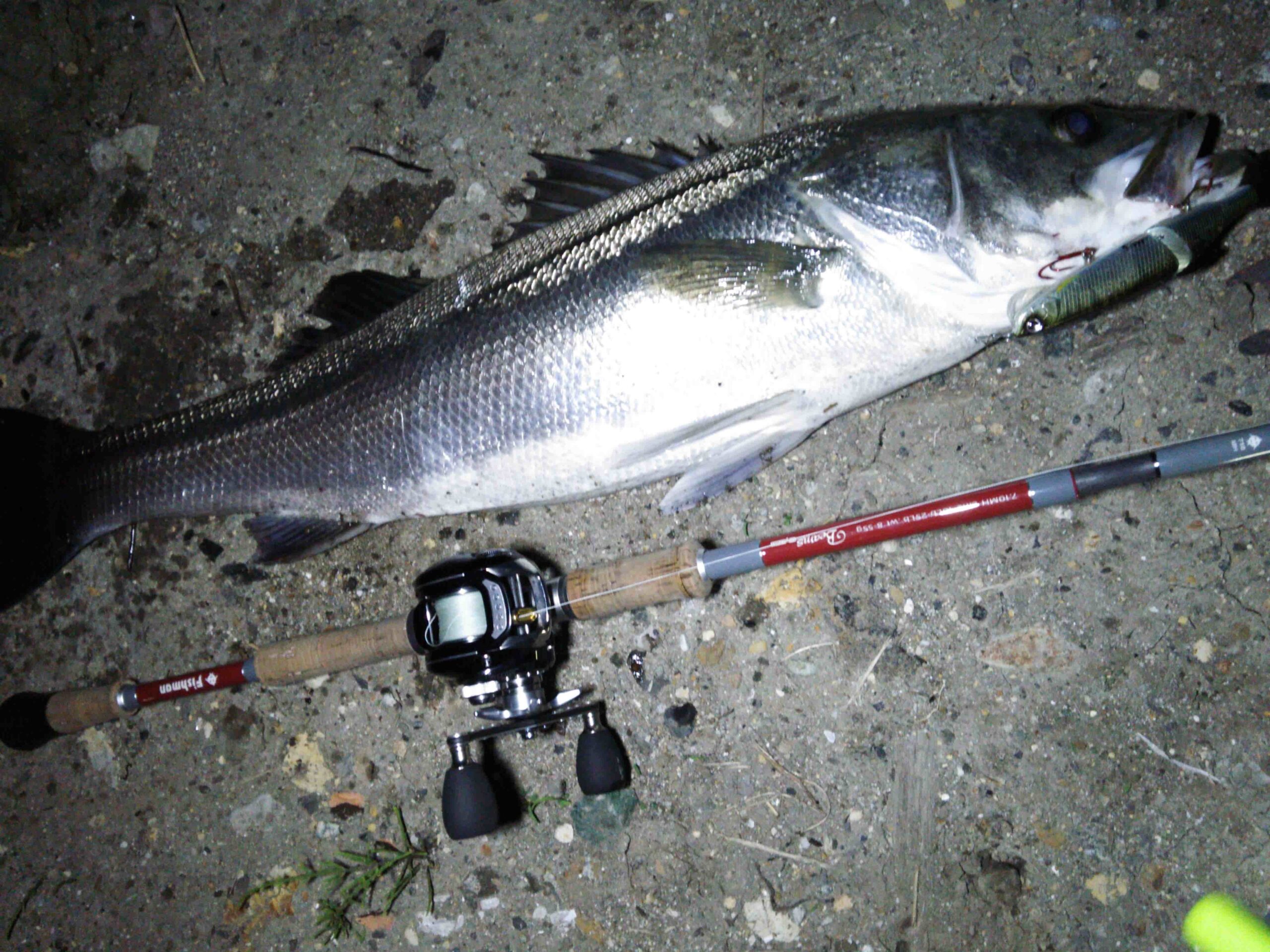 【注意】ベイトシーバスでビッグベイトやる時のライン選択と高切れ対策 | ベイトリール大百科 https://bait-reel.com