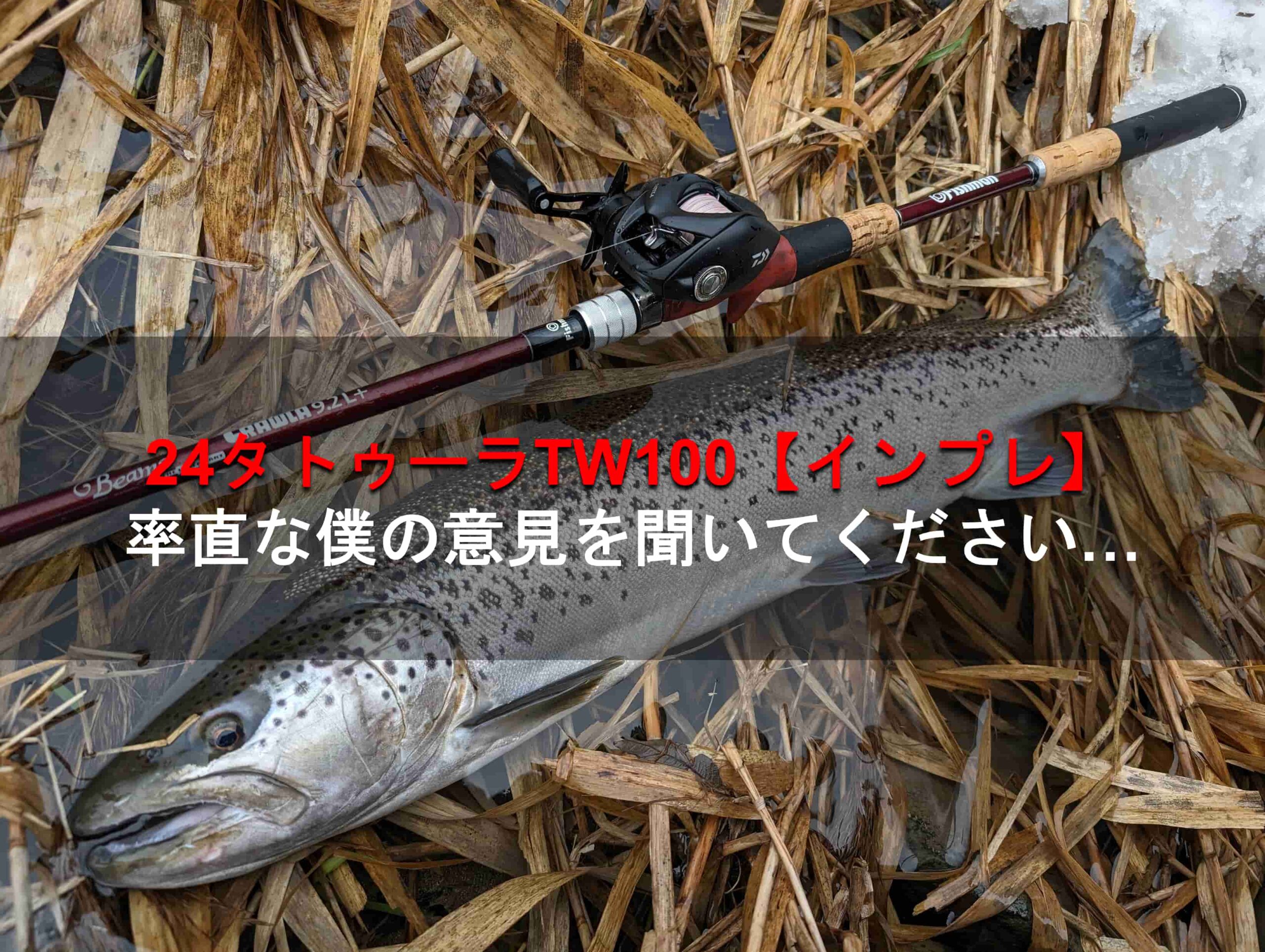 24タトゥーラTW100【インプレ】率直な僕の意見を聞いてください… | ベイトリール大百科 https://bait-reel.com