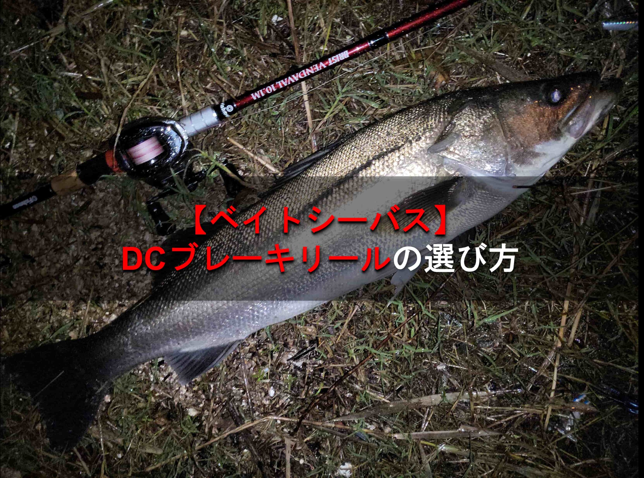 【ベイトシーバス】DCブレーキリールの選び方【使い分け】 | ベイトリール大百科 https://bait-reel.com